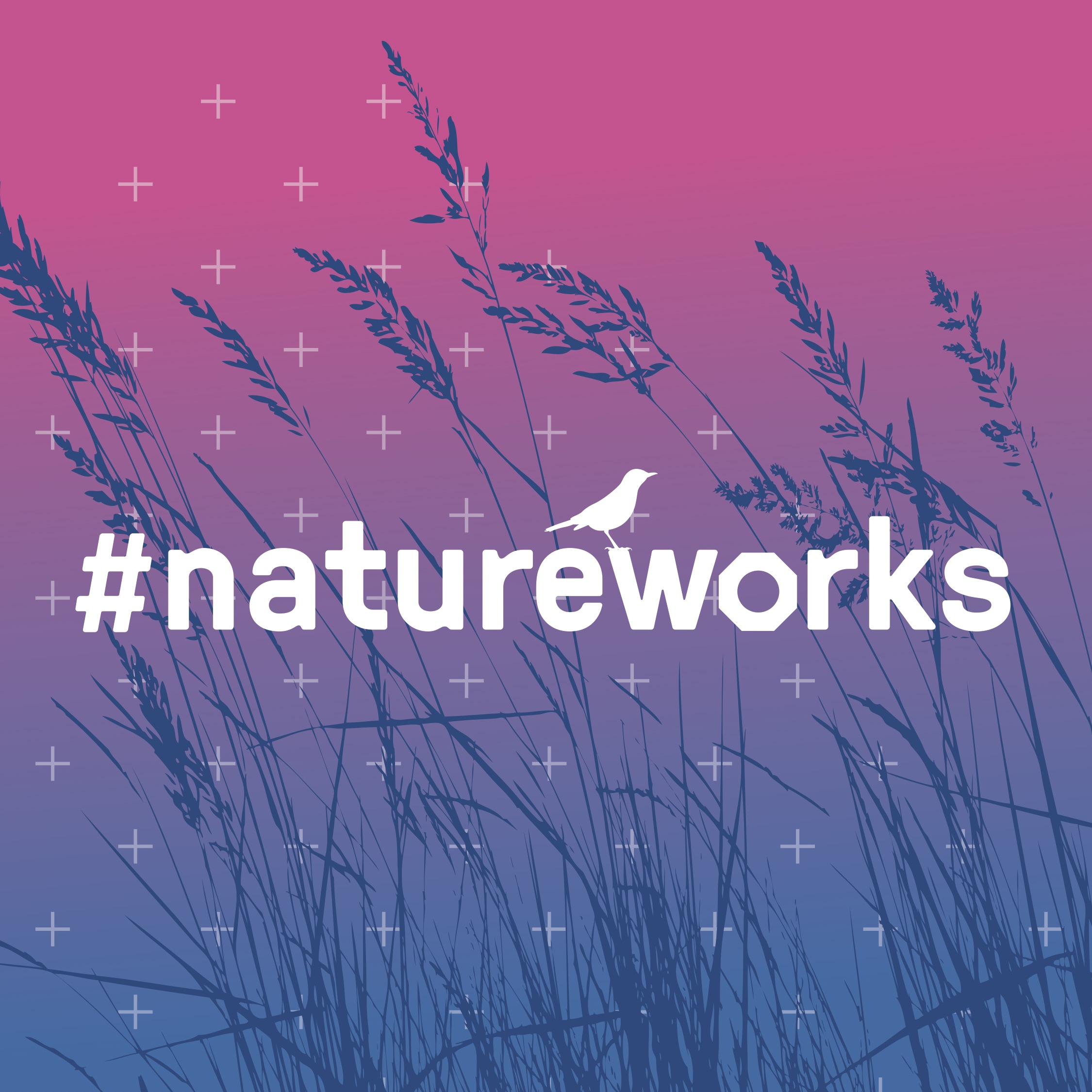 natureworks brand colors copy[1][5] - BlueMedium